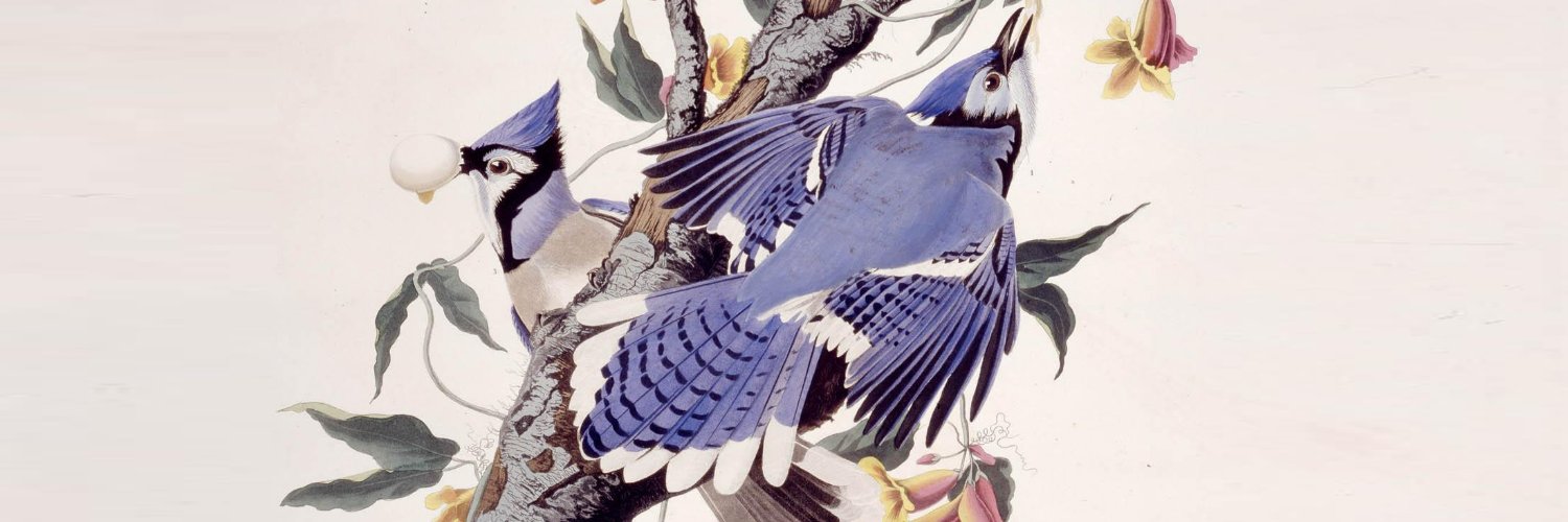 Brandfetch | Toronto Public Library Logos & Brand Assets