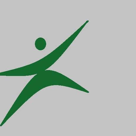 Dynamic Spine & Fitness Logos & Brand Assets | Brandfetch