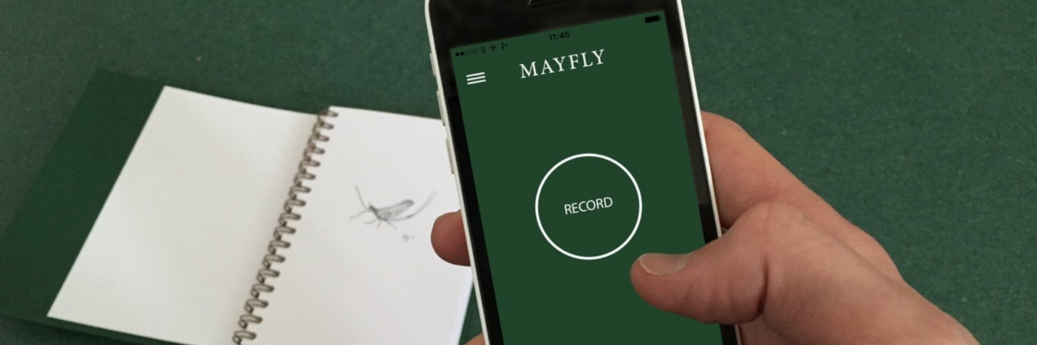 Mayfly Logos & Brand Assets | Brandfetch