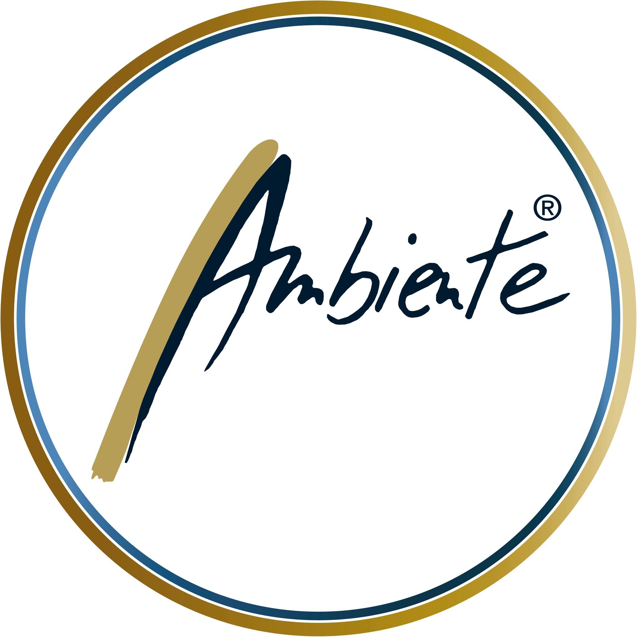 Ambiente Logo & Brand Assets (SVG, PNG and vector) - Brandfetch