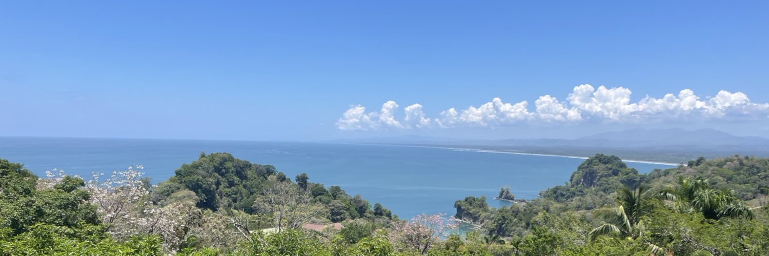 Brandfetch | Tanner Wideman Logos & Brand Assets