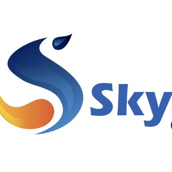 Brandfetch | Skysoft Connections Logos & Brand Assets