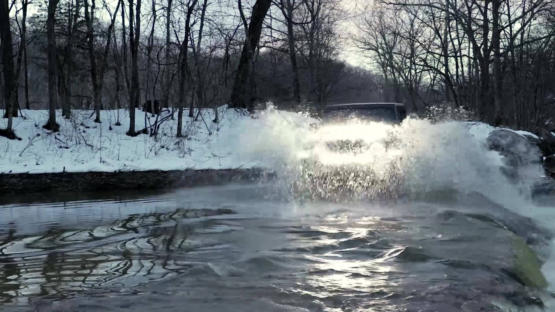 Brandfetch | Diode Dynamics Logos & Brand Assets