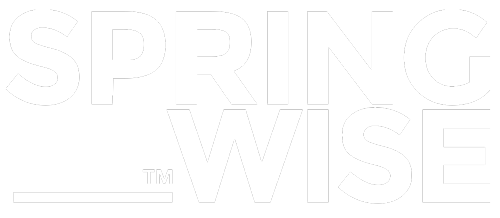 Brandfetch | Springwise Intelligence Logos & Brand Assets