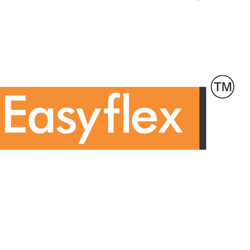 EasyFlex Logo & Brand Assets (SVG, PNG and vector) - Brandfetch