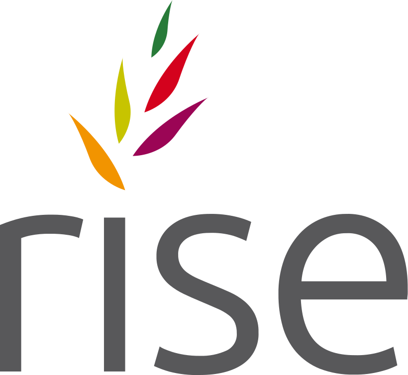 Rise Logos & Brand Assets | Brandfetch