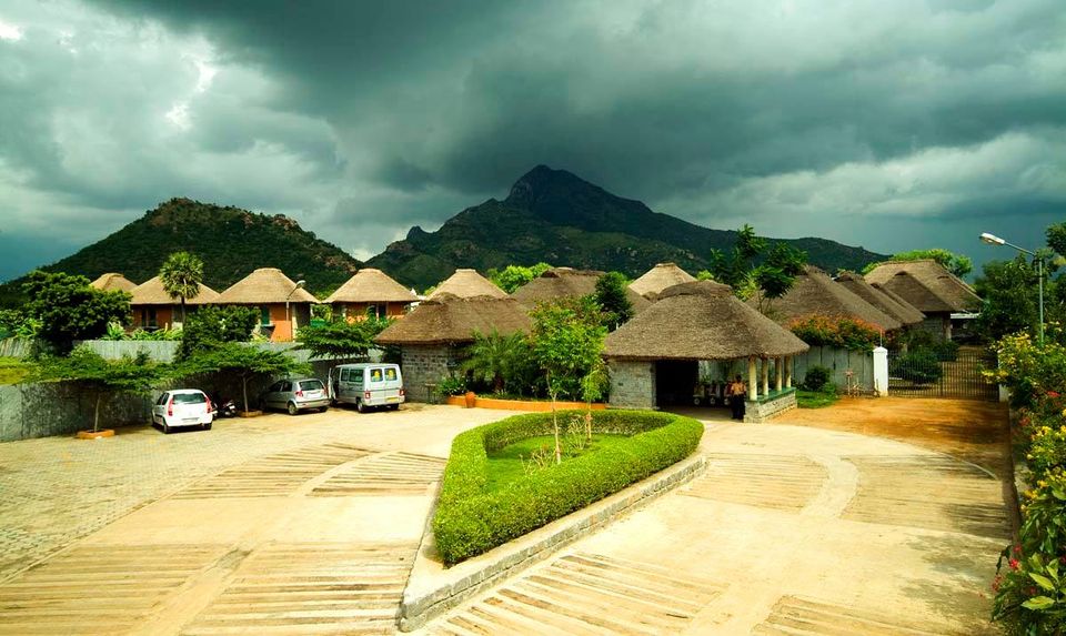 Brandfetch | Sparsa Thiruvannamalai | Tiruvannamalai Logos & Brand Assets