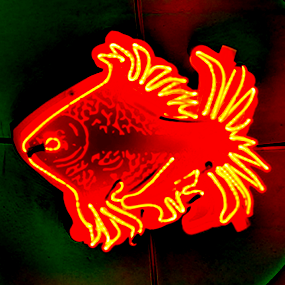 Brandfetch | Long Chim Sydney | Sydney NSW Logos & Brand Assets