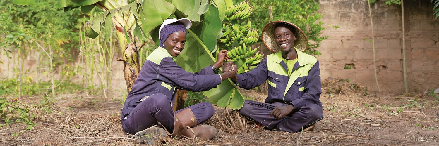 Enabel Logos & Brand Assets | Brandfetch