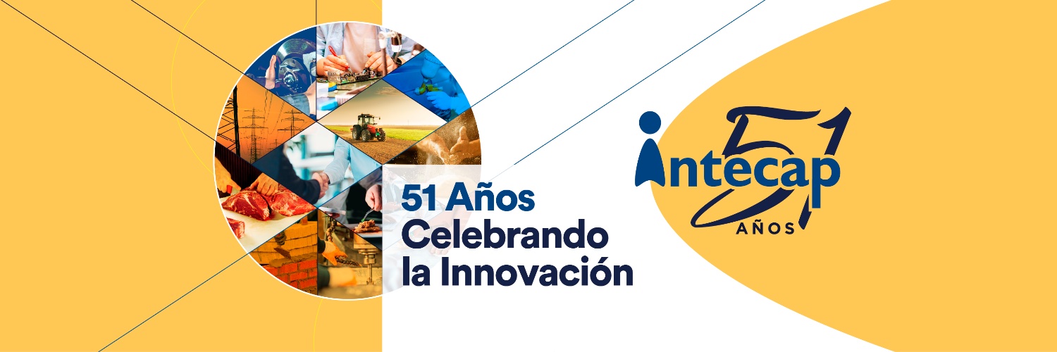 Intecap Logo & Brand Assets (SVG, PNG and vector) - Brandfetch