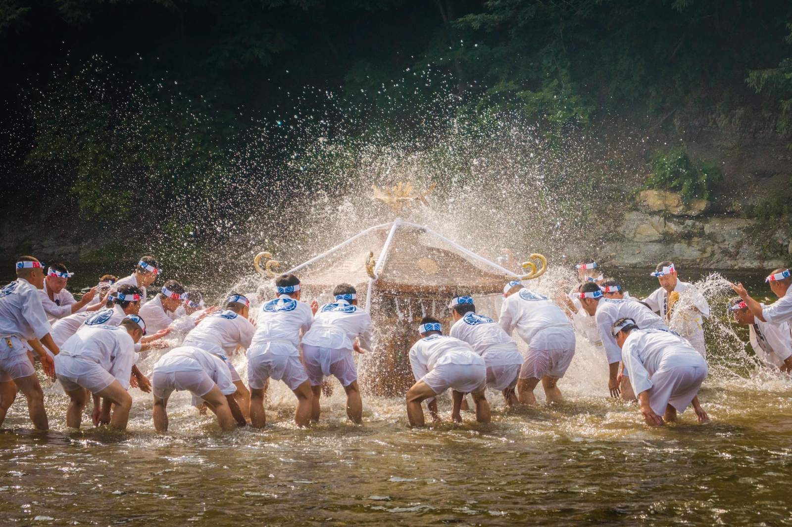 Brandfetch | CScout Japan Logos & Brand Assets