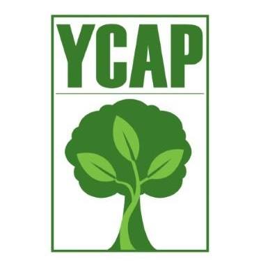 Brandfetch | YCAP Logos & Brand Assets