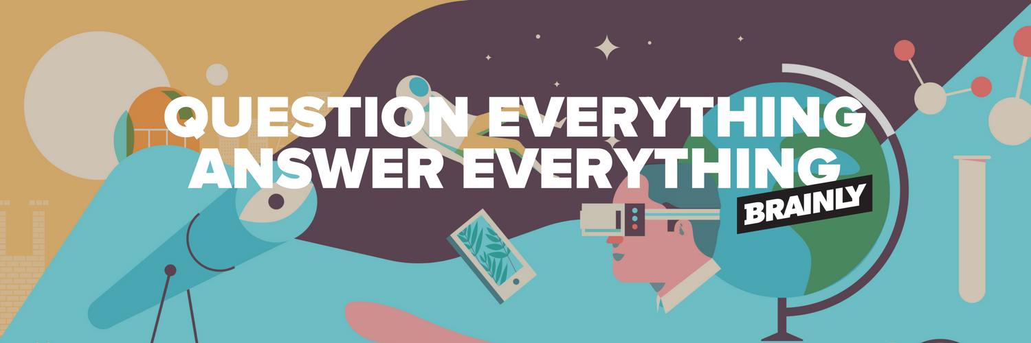 Brandfetch | Brainly Logos & Brand Assets