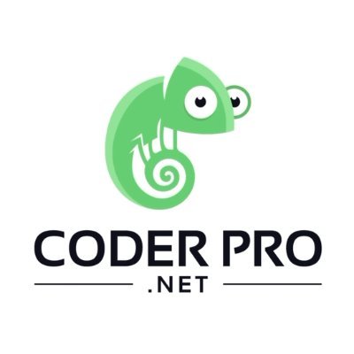 Brandfetch | coderPro.net | Chicago IL Logos & Brand Assets