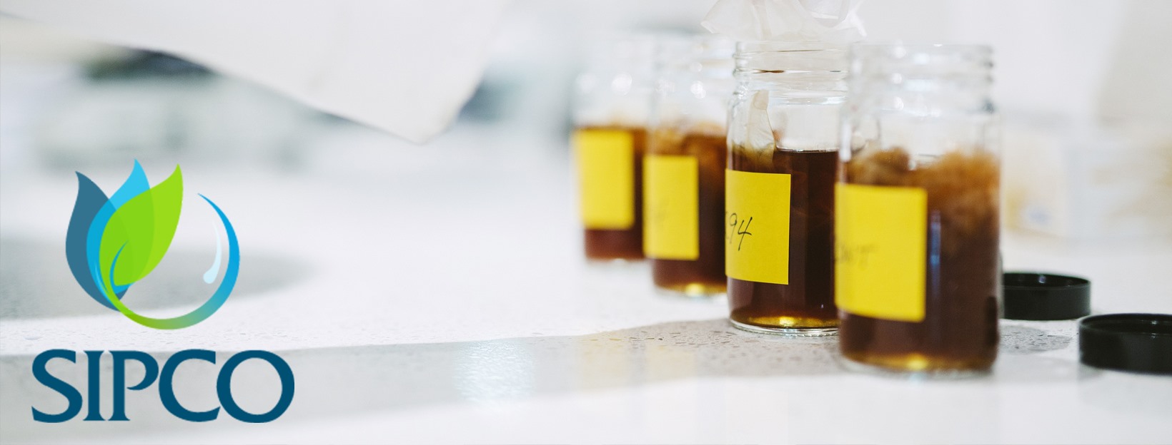 SIPCO Innovations | Delta BC Logo & Brand Assets (SVG, PNG and vector ...