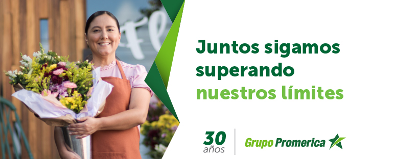 Brandfetch | Banco Promerica Guatemala Logos & Brand Assets