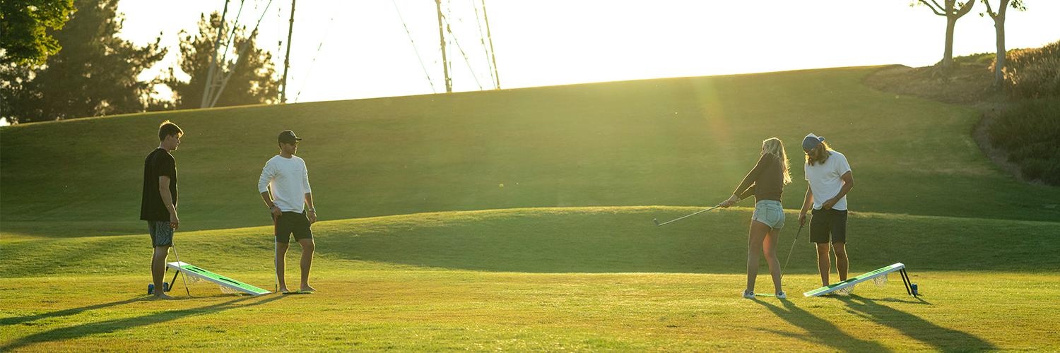 Chippo Logo & Brand Assets (SVG, PNG and vector) - Brandfetch