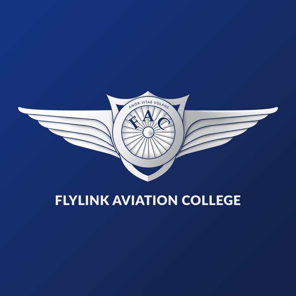 Flylink Aviation Logo & Brand Assets (SVG, PNG and vector) - Brandfetch
