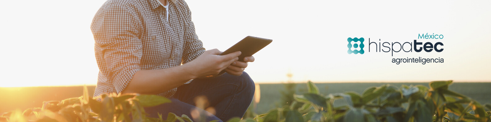 Brandfetch | Hispatec México Logos & Brand Assets