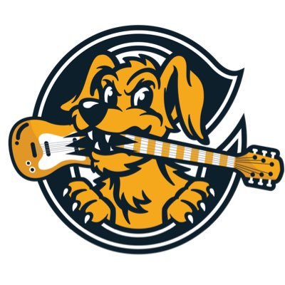 Brandfetch | Charleston RiverDogs Logos & Brand Assets