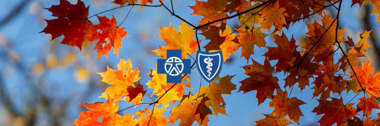 BCBSM Logos & Brand Assets | Brandfetch