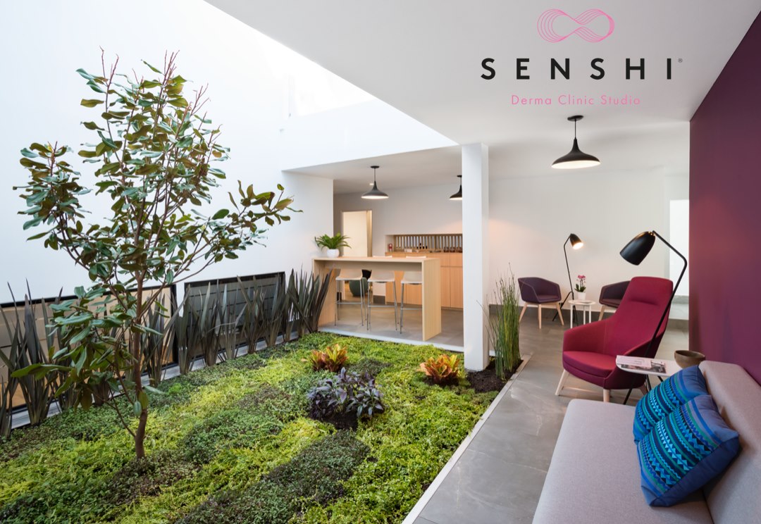 Brandfetch | Senshi Logos & Brand Assets