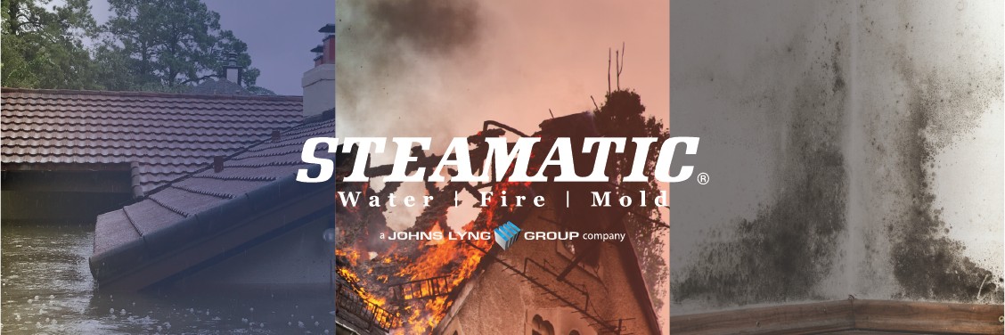 Brandfetch | Steamatic Logos & Brand Assets