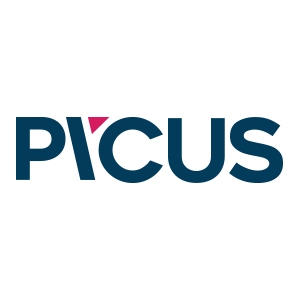 Picus Security Inc. Logo & Brand Assets (SVG, PNG and vector) - Brandfetch