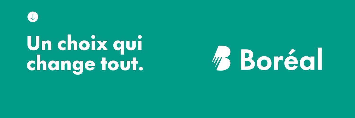 Collège Boréal Logo & Brand Assets (SVG, PNG and vector) - Brandfetch