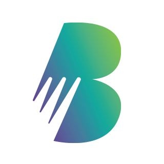 Collège Boréal Logo & Brand Assets (SVG, PNG and vector) - Brandfetch