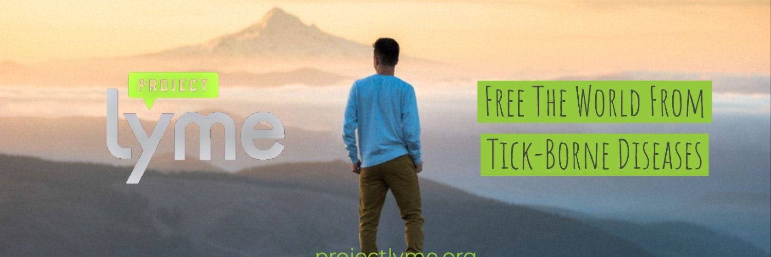 Brandfetch | Project Lyme Logos & Brand Assets