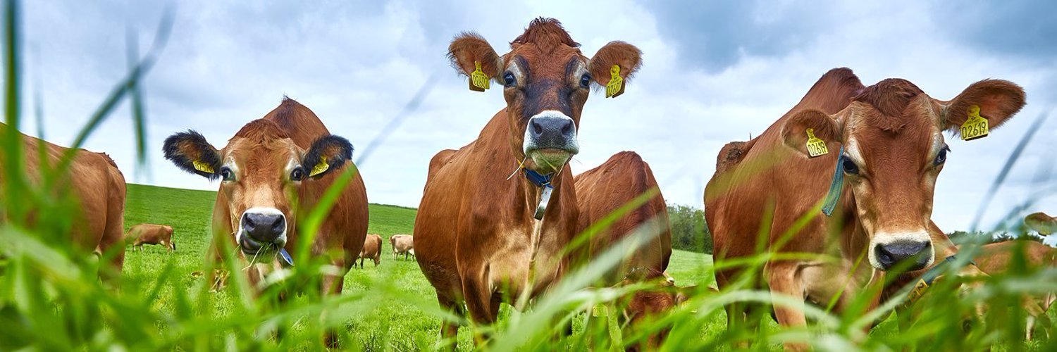 Arla Logo & Brand Assets (SVG, PNG and vector) - Brandfetch