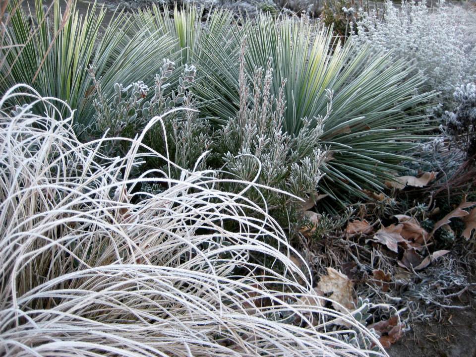 Brandfetch | Xera Plants Inc. | Portland OR Logos & Brand Assets