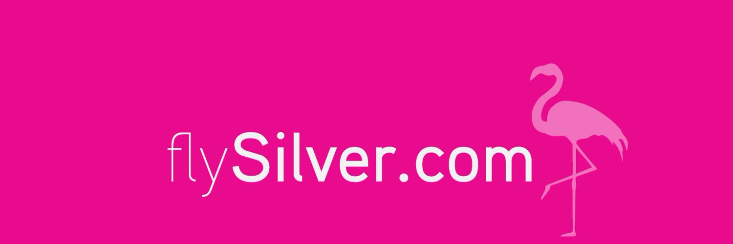 Silver Airways Logos & Brand Assets | Brandfetch