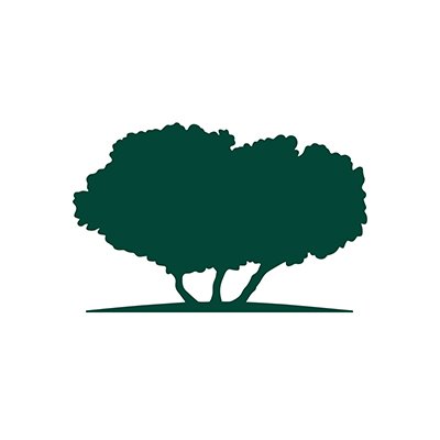 Qatar Foundation Logo & Brand Assets (SVG, PNG and vector) - Brandfetch