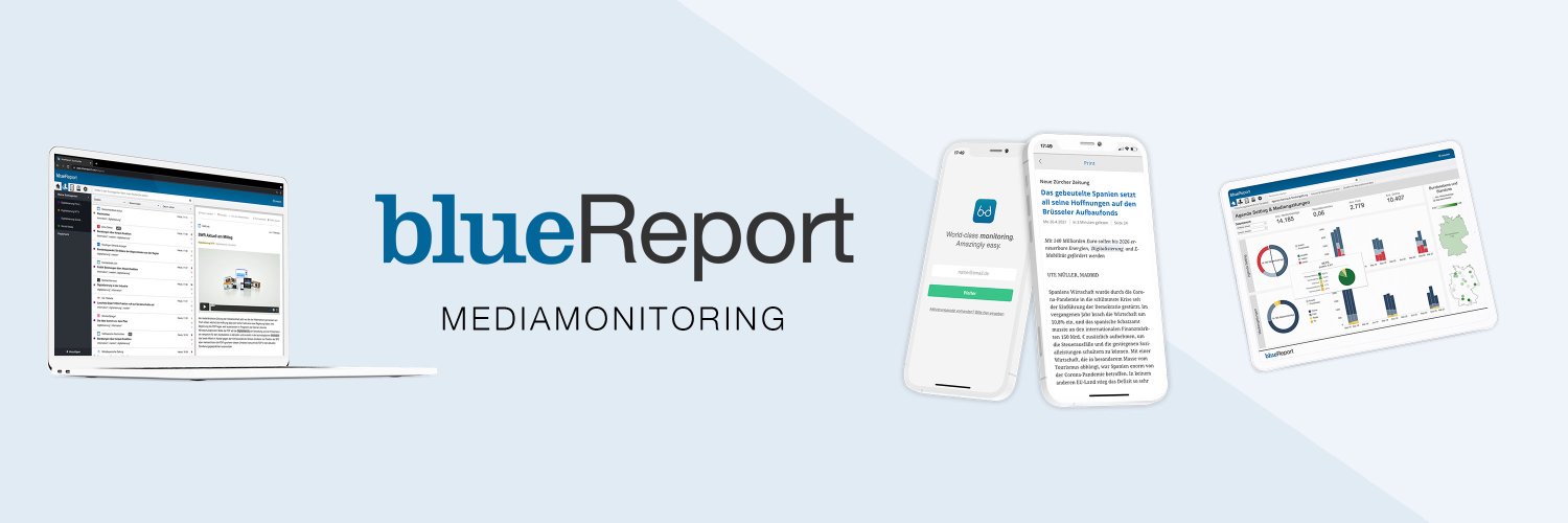 blueReport Logo & Brand Assets (SVG, PNG and vector) - Brandfetch