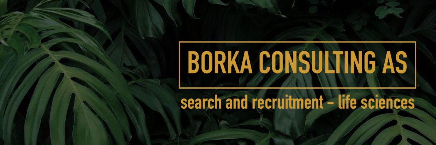 Brandfetch | Borka Consulting Logos & Brand Assets