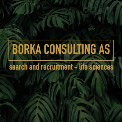 Brandfetch | Borka Consulting Logos & Brand Assets