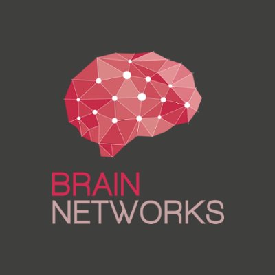 Brandfetch | Brain Networks Logos & Brand Assets