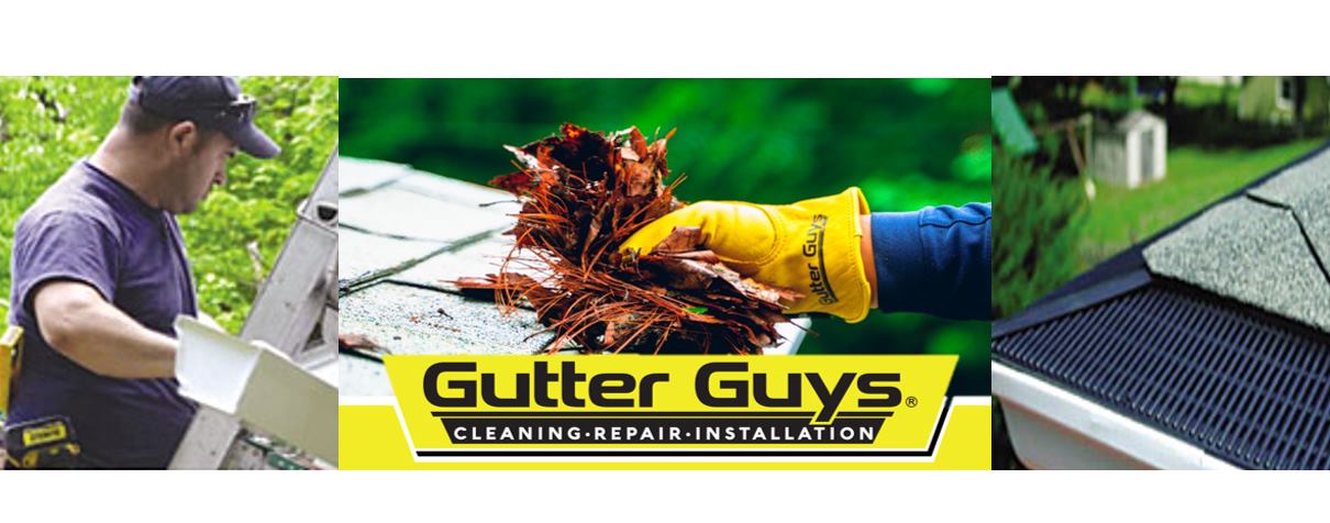 Brandfetch | Gutter Guys | Stamford CT Logos & Brand Assets