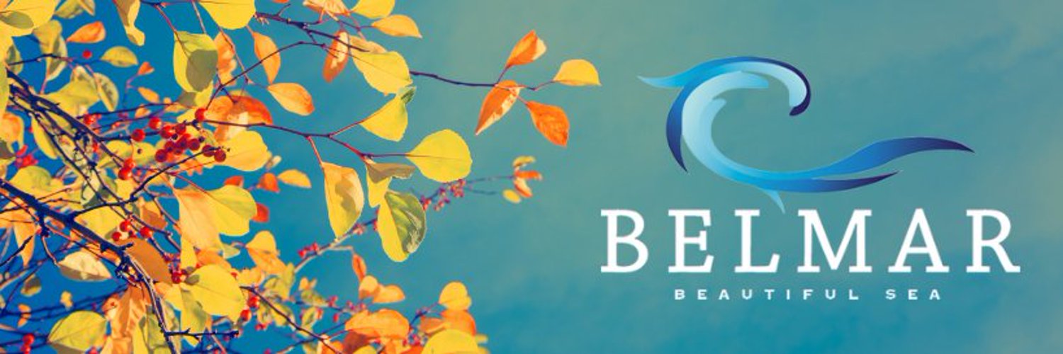 Brandfetch | Belmar.com Logos & Brand Assets