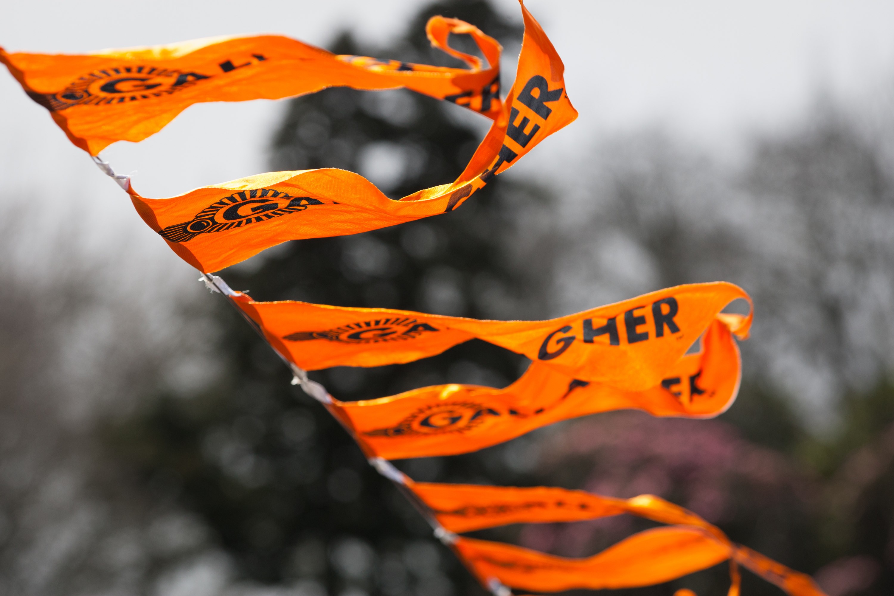 Brandfetch | Gallagher Logos & Brand Assets