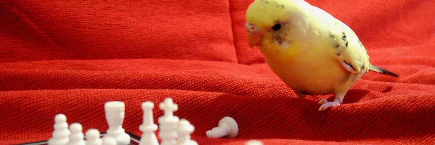 Pioneer Hi-Bred Logos & Brand Assets | Brandfetch