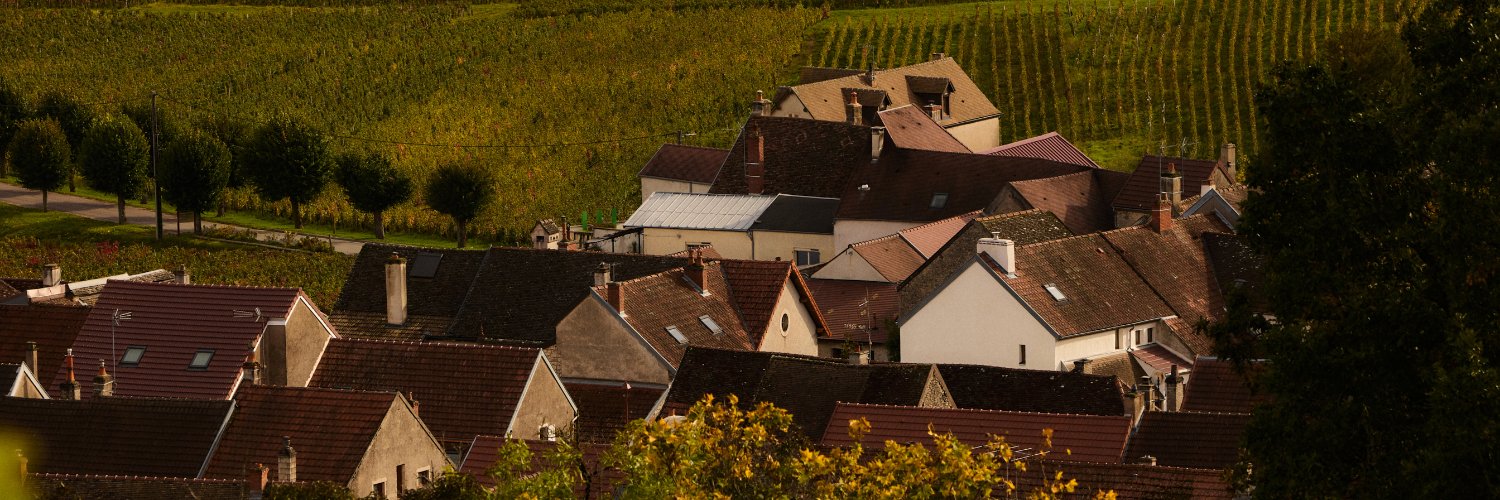 Yatzer Logo & Brand Assets (SVG, PNG and vector) - Brandfetch