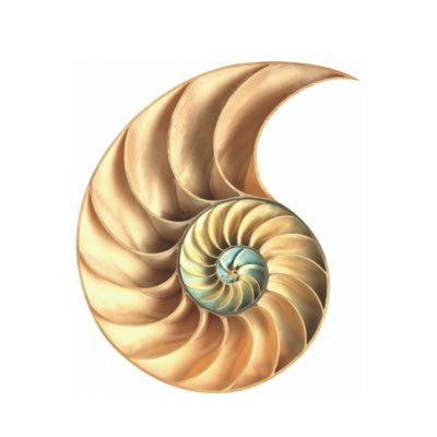 Overbury Logo & Brand Assets (SVG, PNG and vector) - Brandfetch