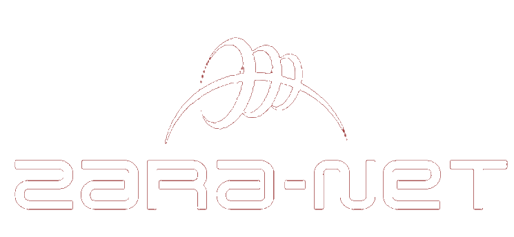 Brandfetch | Zara Logos & Brand Assets