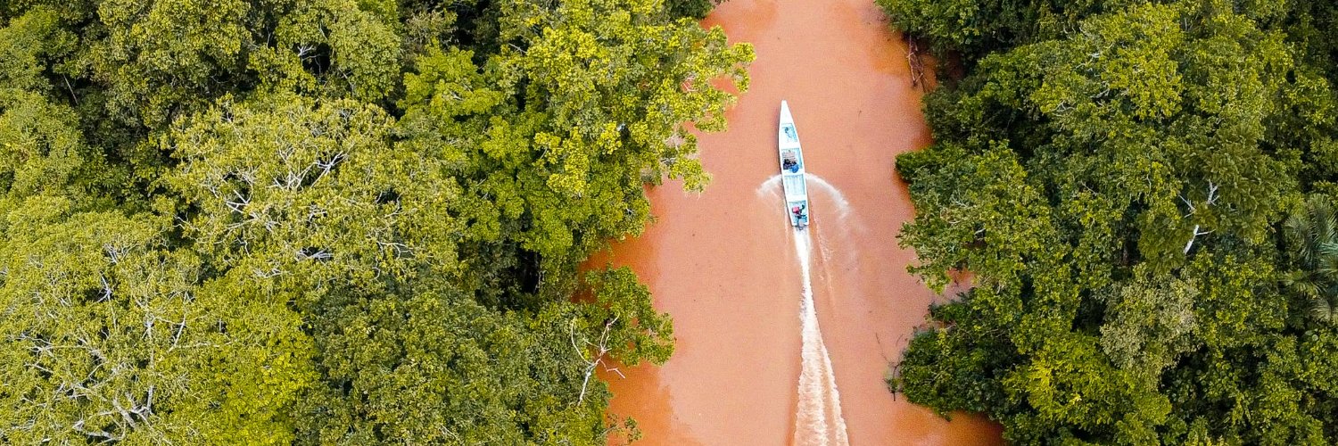 Earth Insight Logo & Brand Assets (SVG, PNG and vector) - Brandfetch