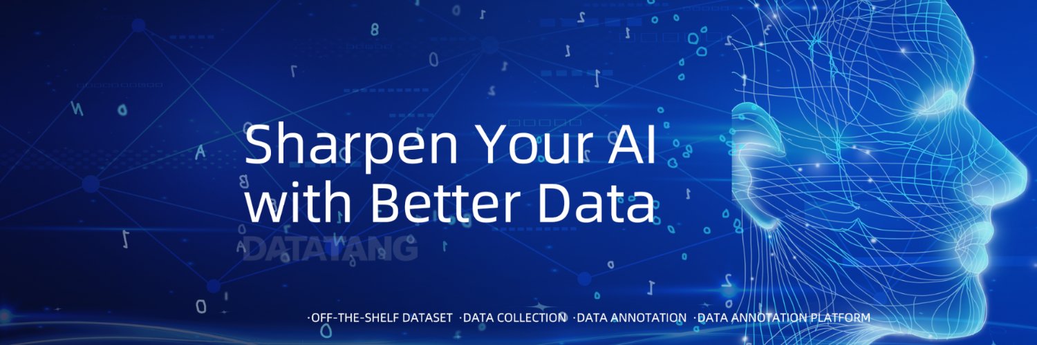 Brandfetch | Datatang Logos & Brand Assets