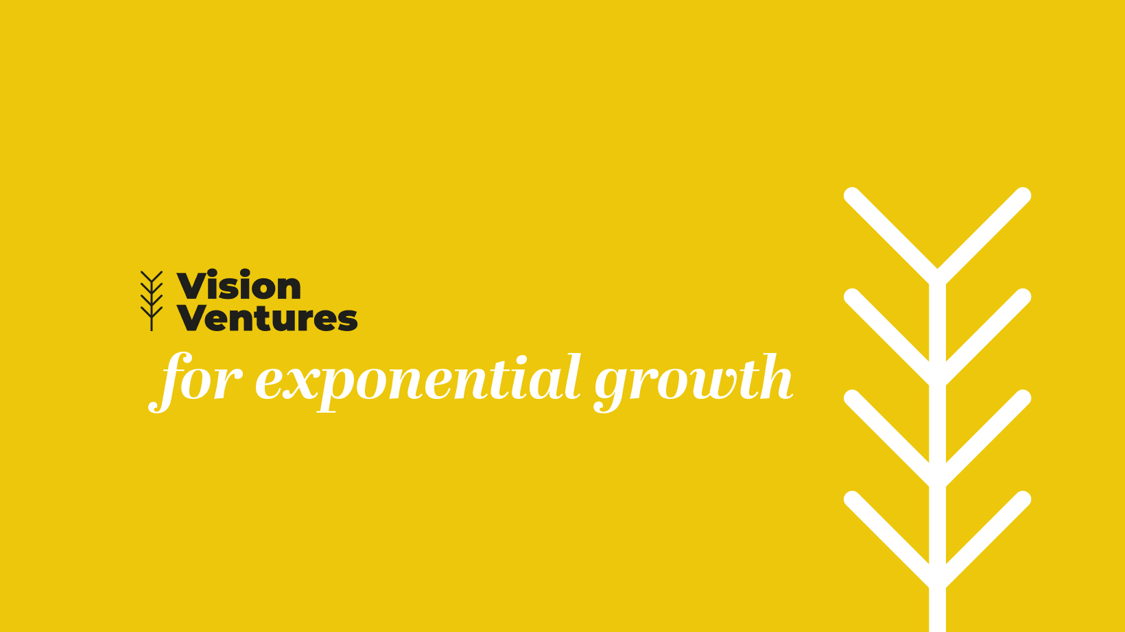 Brandfetch | Vision Ventures Logos & Brand Assets