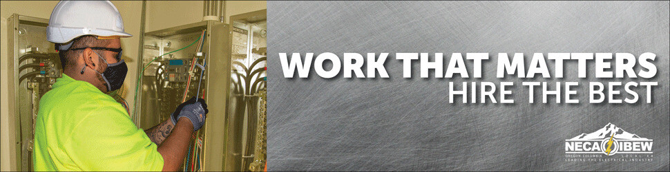 NECA/IBEW Local 48 Logos & Brand Assets | Brandfetch